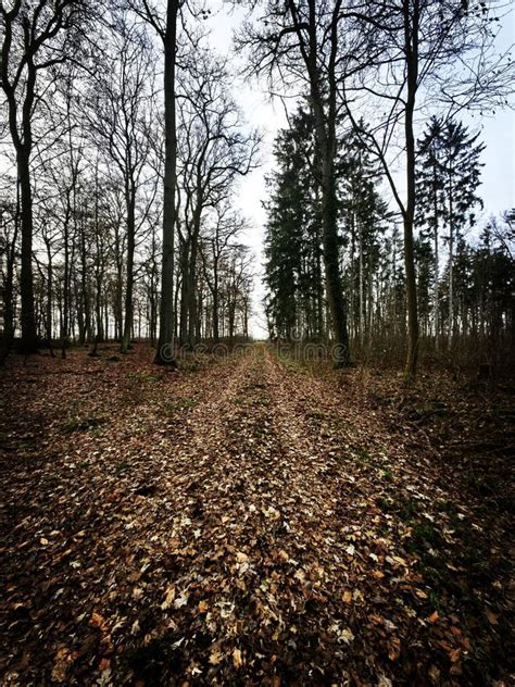 Discover The Beauty Of Northern Germany In These Stunning Landscape