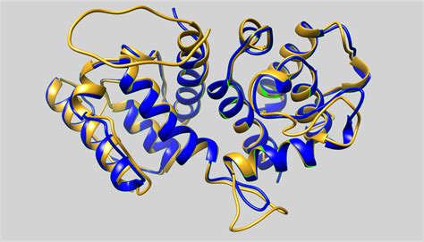 The Actin Binding Domain The Predicted Structure Of Actin Binding