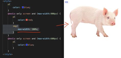 Css教學課程 入門篇 8個章節 由淺入深學習css 鬍子科技學院