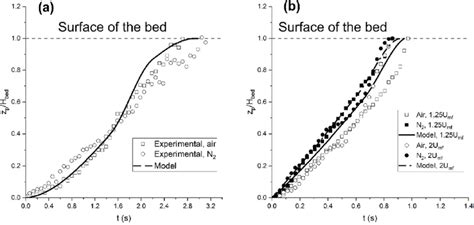 shows experimental and calculated particle segregation profiles of a