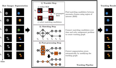 Github Kaloefflerkit Ge 3 Cell Tracking For Ctc