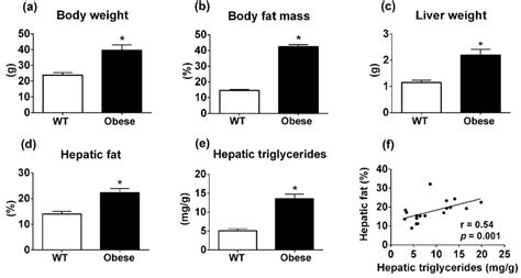 metabolic parameters of wild type or genetically obese lep ob ob and