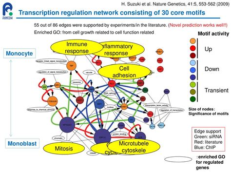 Ppt Next Generation Sequencers And Progress On Omics Research Powerpoint Presentation Id 7018525