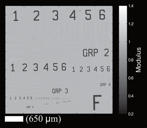 Quantitative Phase Imaging Of The Phasefocus Phase Calibration Target