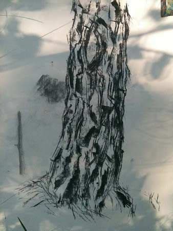 Learn How To Draw Pine Trees