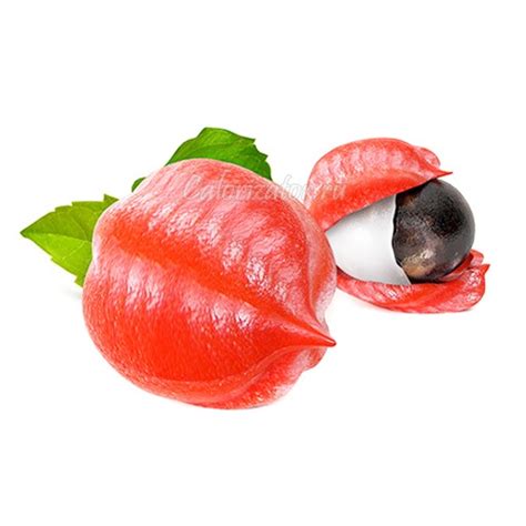 Фрукты - Calorizator.ru
