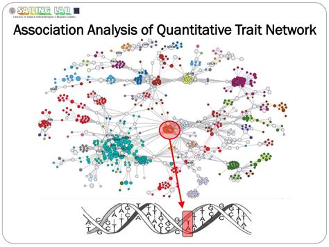 Ppt Associations To Quantitative Trait Network And Analysis Of Asthma Data Powerpoint