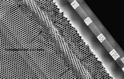 42 X Ray Radiography And Torn Honeycomb Core Download Scientific Diagram