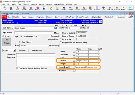 Casepulse Needles Integration Client Portal For Needles Case Management