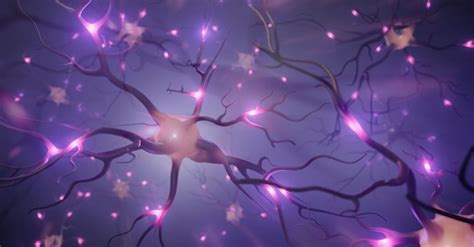 Kengo Yoda On Linkedin Neuromarketing Ethicalpractices