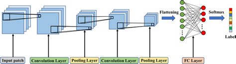 typical structure of cnn download scientific diagram