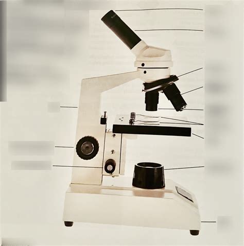 Parts Of A Compound Light Microscope Diagram Quizlet