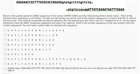 Solved Above Is The Partial Genomic DNA Sequence Of Two Chegg Com