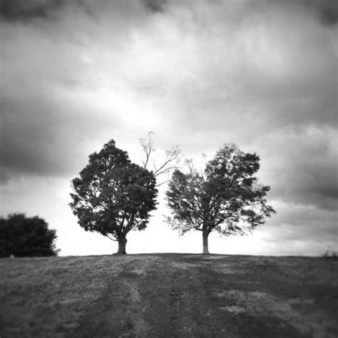 stream two trees john o callaghan remix by johnocallaghan listen