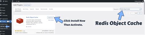 Synology Add Redis Object Cache To WordPress Marius Hosting