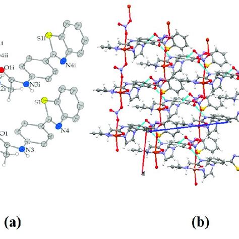 A The Molecular Structure Of Complex Cu 1 Indicating The Polymeric
