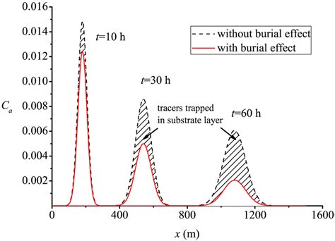 Spatial Distribution Of The Active‐layer Tracer Concentration Ca At Download Scientific