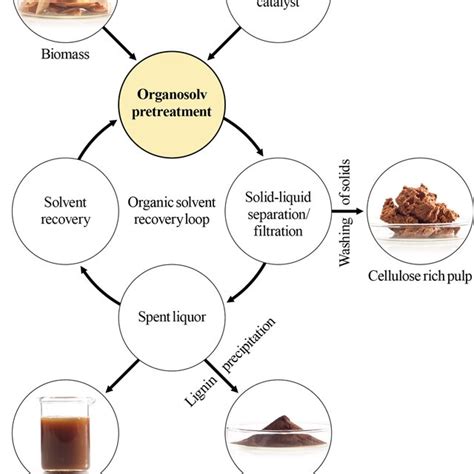 Schematic Of A General Organosolv Process Download Scientific Diagram