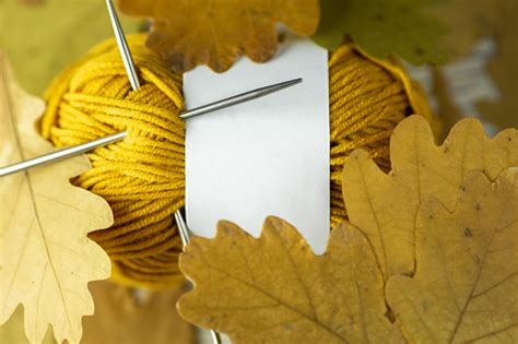 뜨개질을 위한 노란 실 공 나무 배경에 노란색 가을 참나무 잎이 있는 원사 원사 제조 회사 모형 0명에 대한 스톡 사진 및 기타