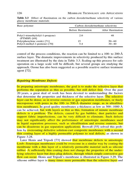 Advances In Membrane Surface Treatment And Defect Repair Techniques For