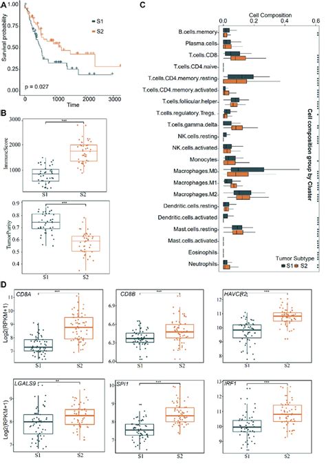 Distinct Function In The Two Subtypes Of Cca A Overall Survival Download Scientific Diagram