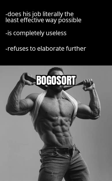Gigachad Bogosort R Programmerhumor