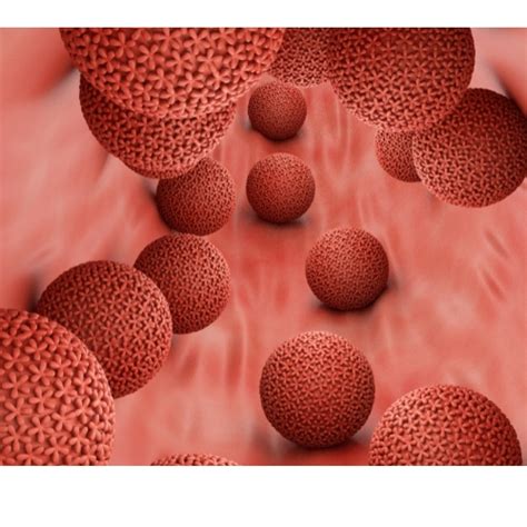 Hpv感染可愈有道