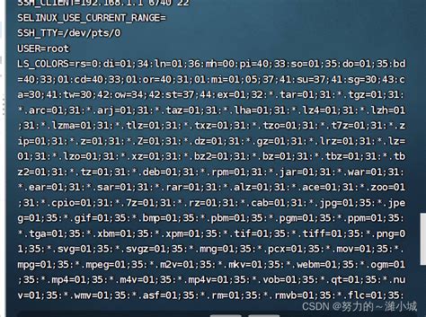 大数据12 Linux用户操作 Csdn博客