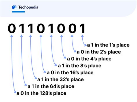 8 Steps To Understanding Ip Subnetting In 2025 Techopedia