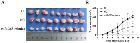 Mir 363 Restrain The Proliferation Migration And Invasion Of Colorectal Carcinoma Cell By