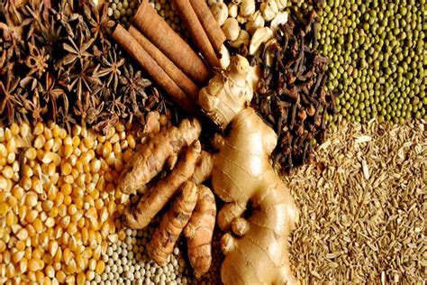 Agro Pinnacle Natural Resources