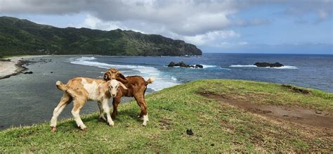 Batanes Islands Of Wind And Fire I Migrant