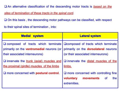 Pyramidal Extrapyramidal Pathways Ppt