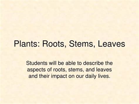 Ppt Plants Roots Stems Leaves Powerpoint Presentation Free Download Id544407