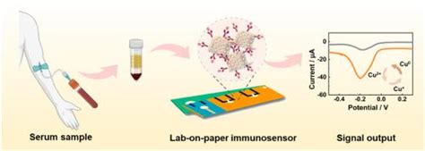 Ultrasensitive Lab On Paper Electrochemical Device Via Heterostructure Copper Cuprous Sulfide N