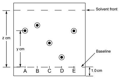 Rf Value In Chromatography MacianceBartlett
