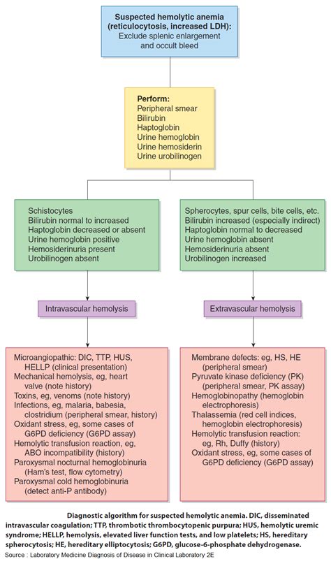 Diagnostic Algorithm For Suspected Hemolytic Anemia Hemolytic