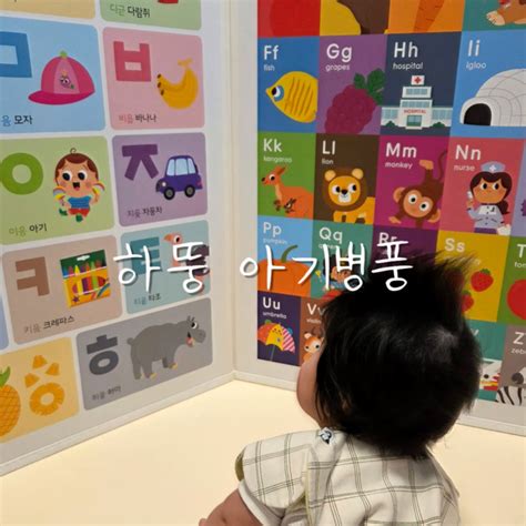 하뚱 세이하우스 신생아 터미타임 도와주는 내돈내산 아기 병풍 네이버 블로그