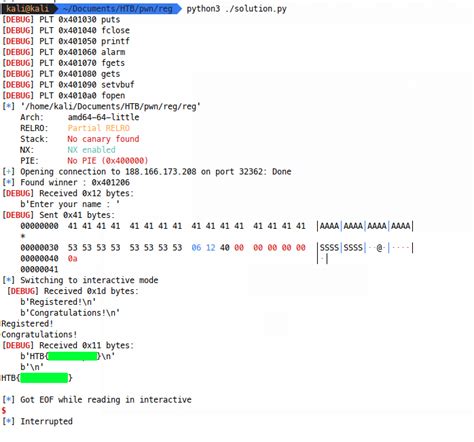 Htb Reg Walkthrough [pwn] Blackfell