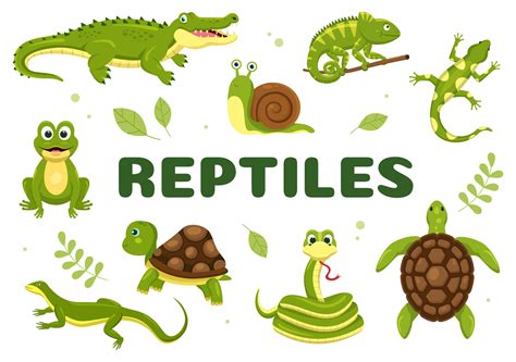 Set Of Animal Reptile Template Hand Drawn Cartoon Flat Illustration