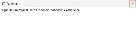 Terminal Jetbrains Fleet Documentation