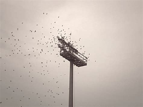 Some Cool S Album On Imgur