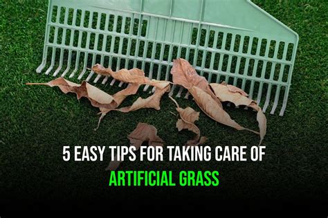Artificial Grass Care Tips San Antonio Tx Lawn Maintenance