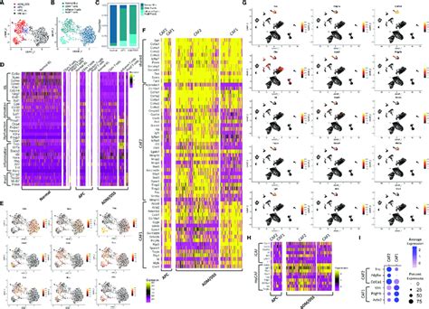Transcriptomic Differences Among Microenvironmental Cell Types In