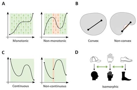 Arithmetic Has A Biological Origin Its An Expression In Symbols Of