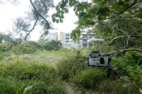 Dense Grass Background Images Hd Pictures And Wallpaper For Free Download Pngtree