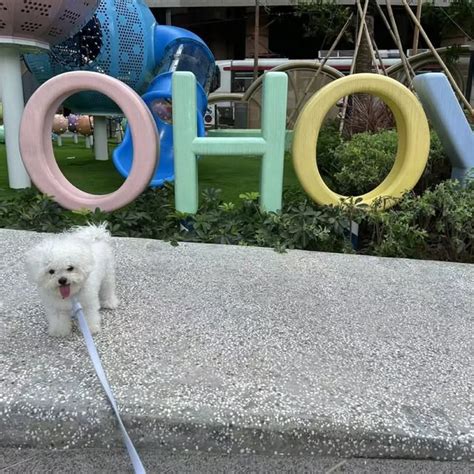 Junekan Junekan • Threads Say More