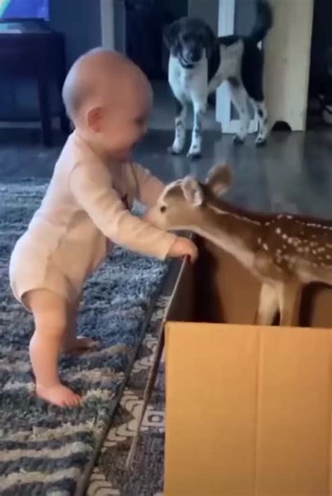 Muhammad Ramzan On Linkedin Innocence Purity Naivety Innocence Purity Simplicity