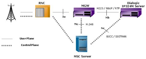 Network Architecture