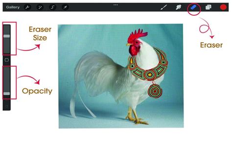 How To Use The Eraser Tool In Procreate Anita Louise Art